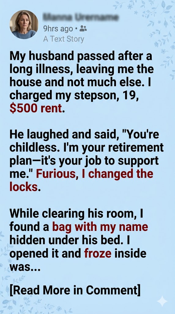 My stepson said he was my “retirement plan”… he had no idea what I’d ...